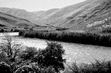 Polluted waters divide Oregon - High Country News