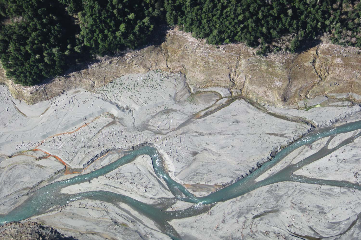 After its dams came down, a river is reborn - High Country News