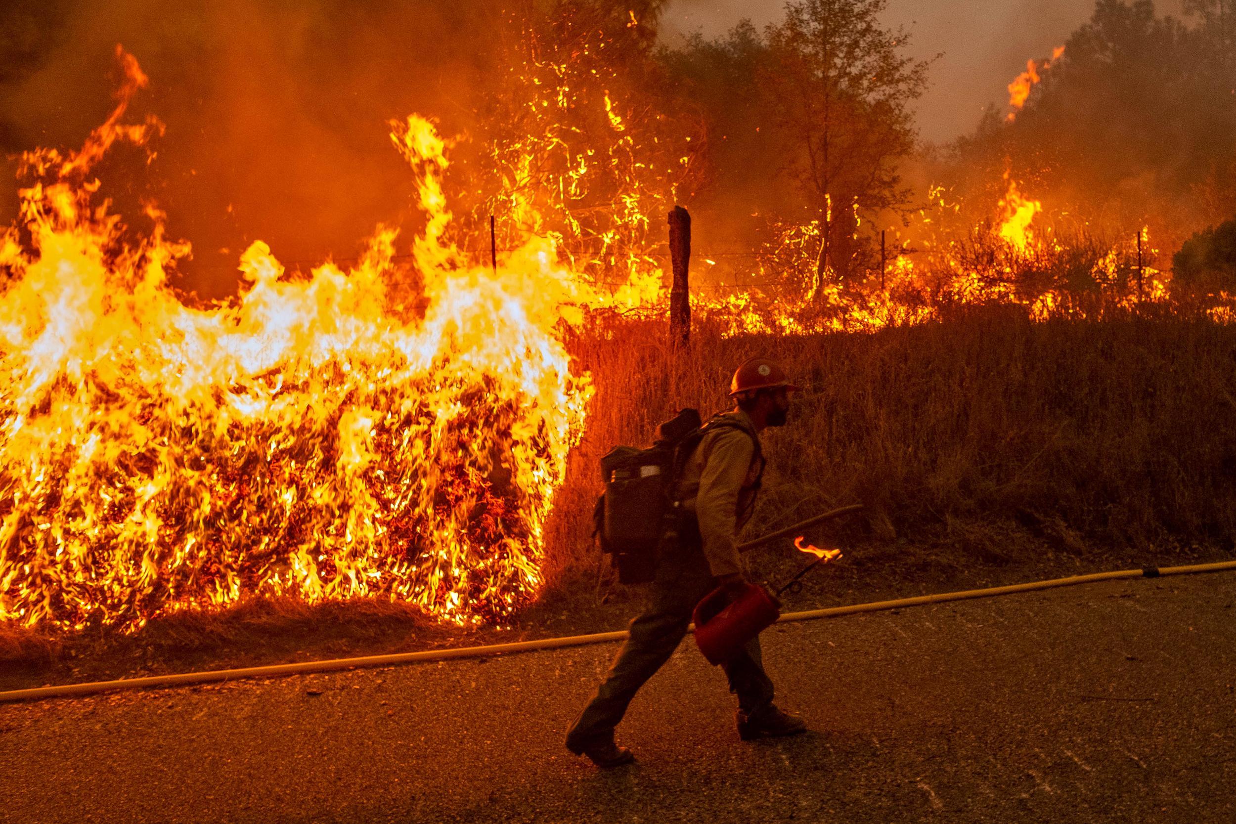 West coast wildfires signal a planetary fire age - High Country News