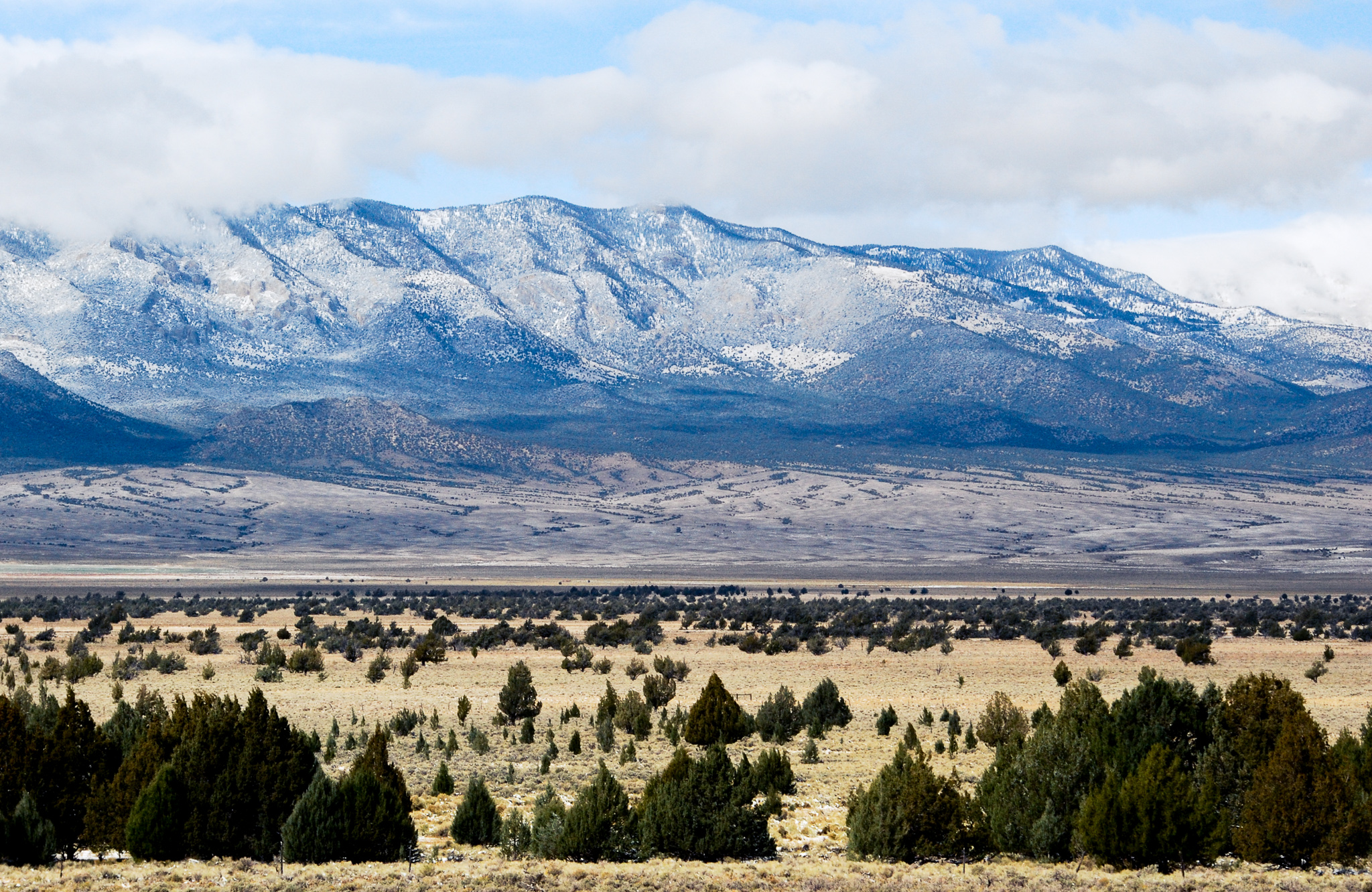Nevada tribes push for a monument to commemorate historic massacres ...