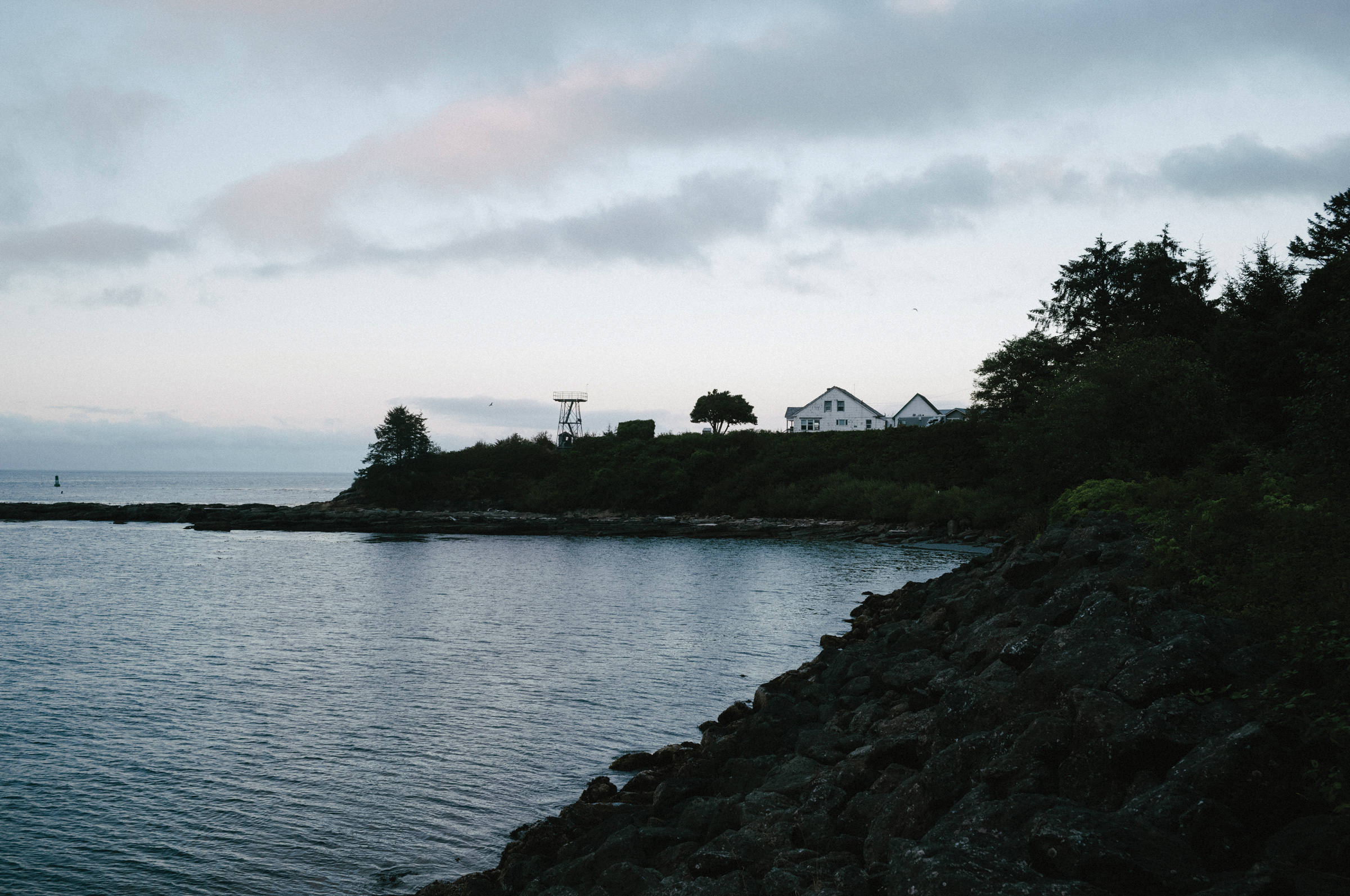 The artist and the harpooner - High Country News