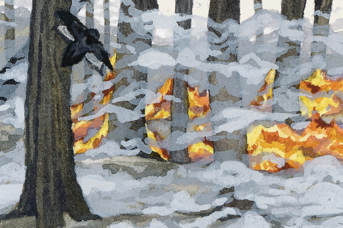 Fire is driving animals’ evolution - High Country News